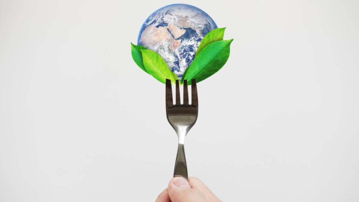 How diet affects climate change | UCLA Health