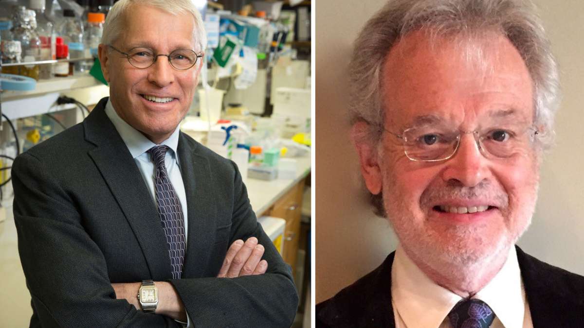 Two UCLA scholars named to American Association for the Advancement of ...