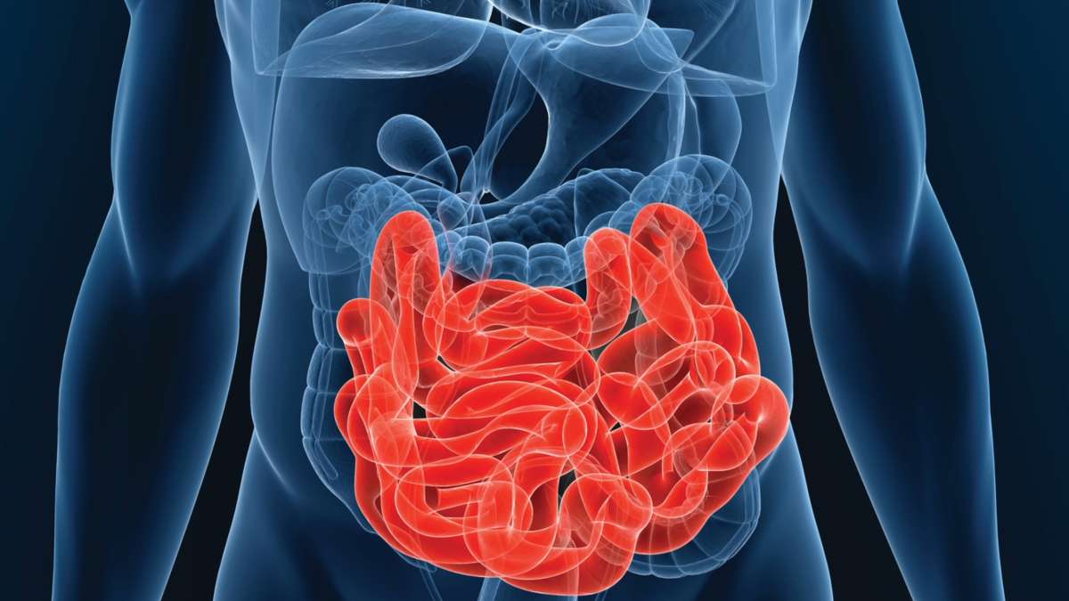 Fecal transplant one option for treating C. diff infection | UCLA Health