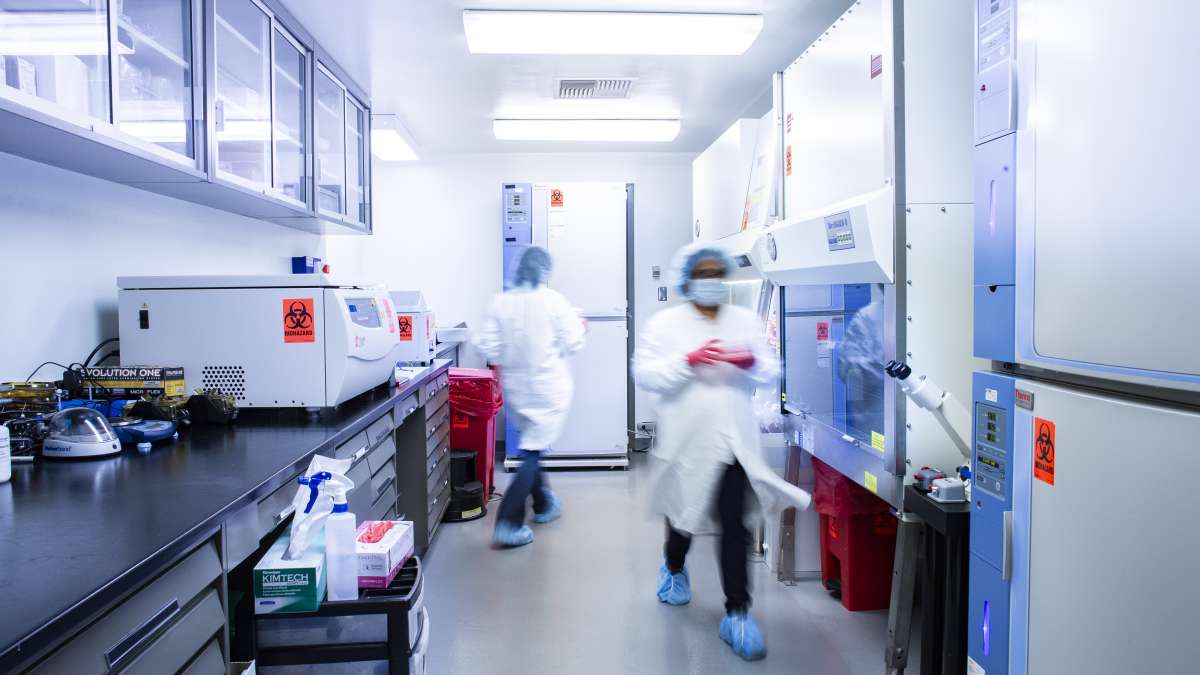 UCLA receives $2 million grant to enhance gene and cell therapy ...