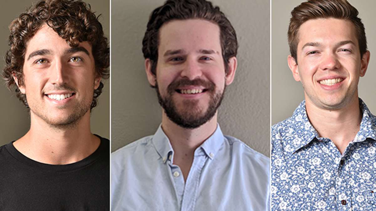 UCLA scientists alter genes of innate immune cells with DNA-snipping ...