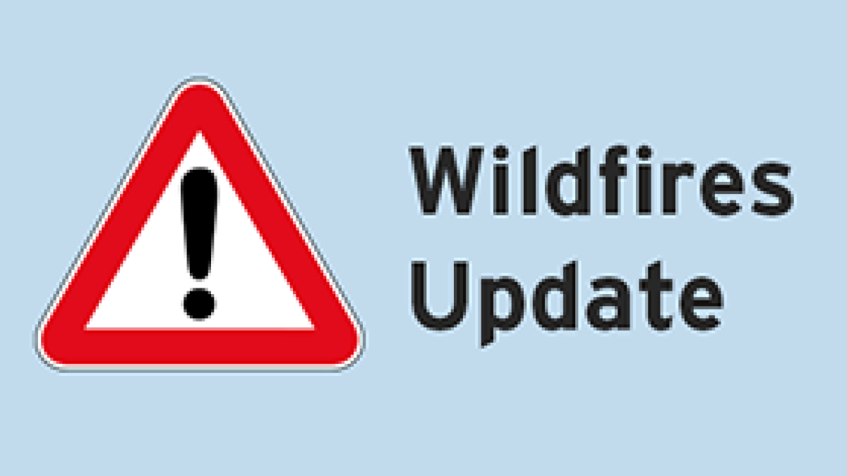 Information on Wildfires | UCLA Health