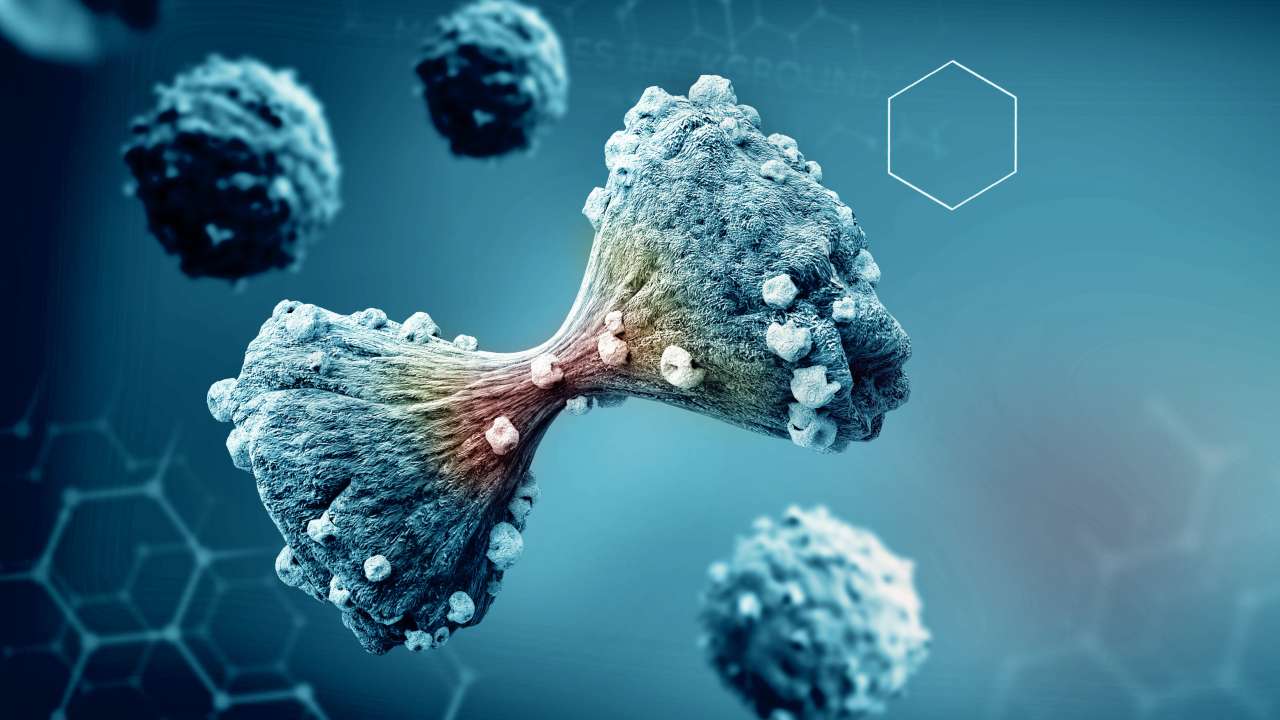 UCLA SPOREs in Cancer | UCLA Health Jonsson Comprehensive Cancer Center