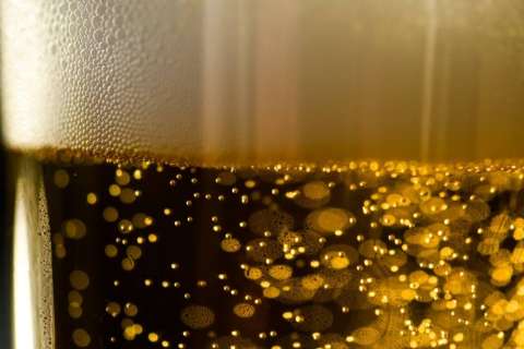 Beer belly: How imbibing a brewsky can boost gut microbial diversity ...