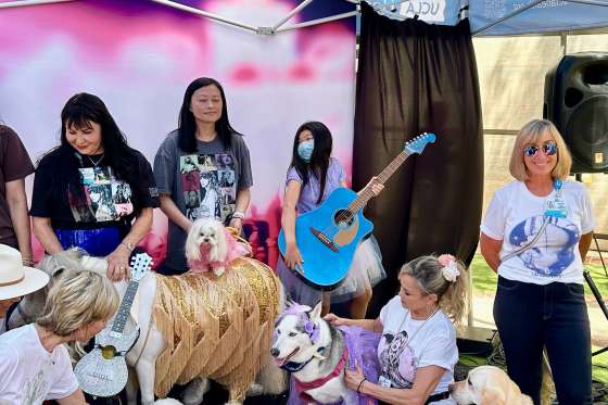 Therapy animals bring Taylor Swift's Eras Tour to patients at UCLA ...