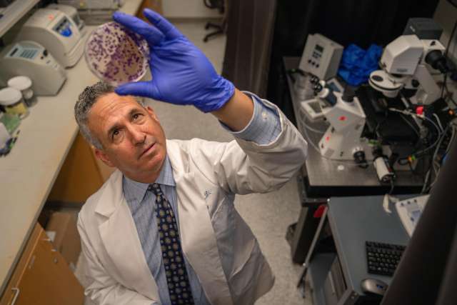 50 Years of Discovery | UCLA Health Jonsson Comprehensive Cancer Center