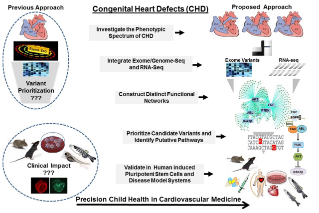 A doctor's unique path to fix tiny hearts | UCLA Health