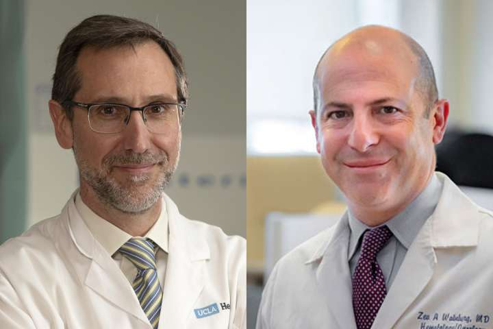Zev Wainberg, MD, MSc - Member Directory | UCLA Health Jonsson ...