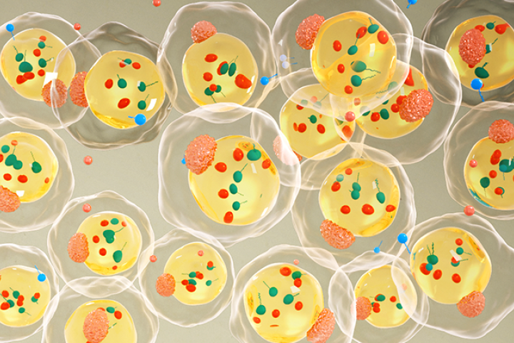 Researchers apply fat cells to deliver drug to suppress tumor growth ...
