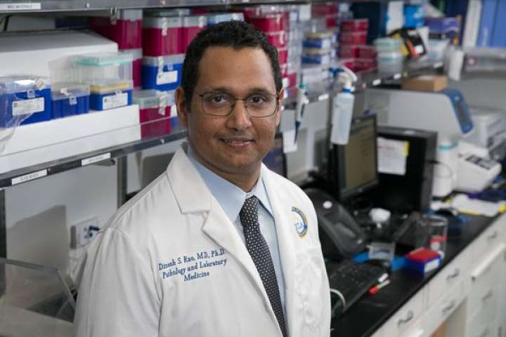 Dinesh Rao, MD, PhD - Member Directory | UCLA Health Jonsson ...