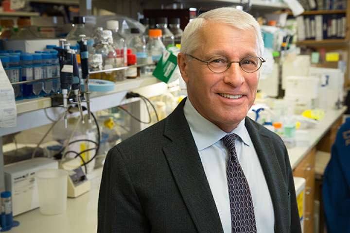 UC regents appoint Dr. Owen Witte University Professor | UCLA Health