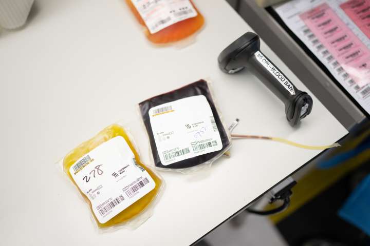 What happens to your blood after you donate? | UCLA Health