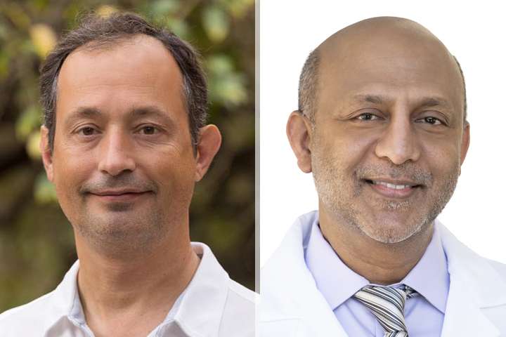 Liver Spatial Omics Core - Comprehensive Liver Research Center | UCLA ...