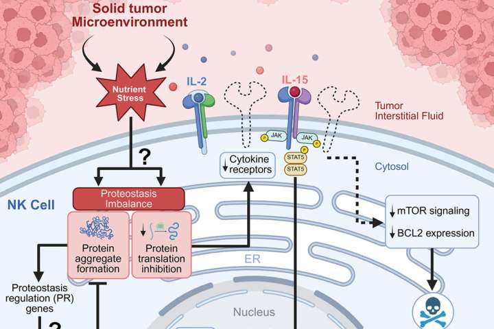 A low omega-6, omega-3 rich diet and fish oil may slow prostate cancer ...