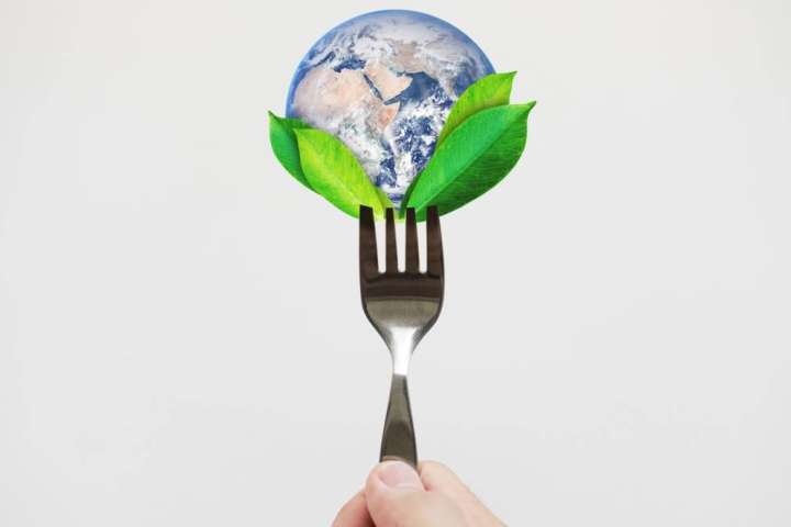 How diet affects climate change | UCLA Health