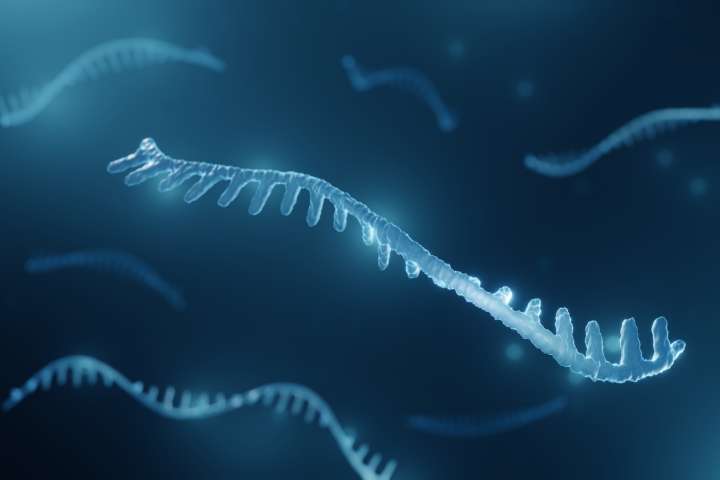 Test predicts which patients with prostate cancer are most likely to ...