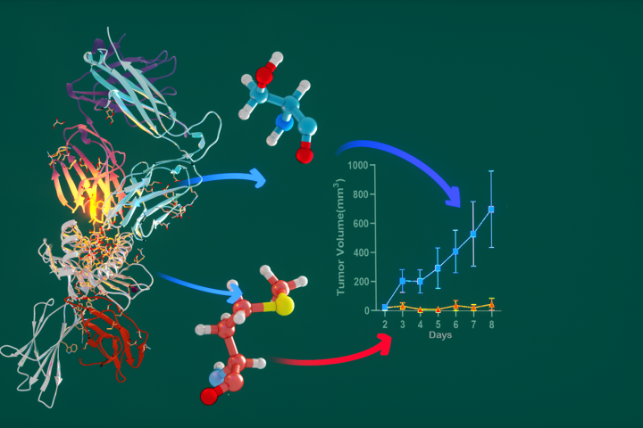 Breathing new life: Inhalable gene therapy for cystic fibrosis | UCLA ...