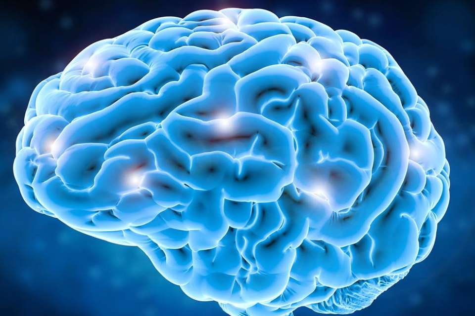 Gaining a clearer picture of how injury, illness reshape the brain ...
