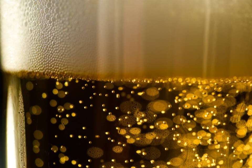 Beer belly: How imbibing a brewsky can boost gut microbial diversity ...