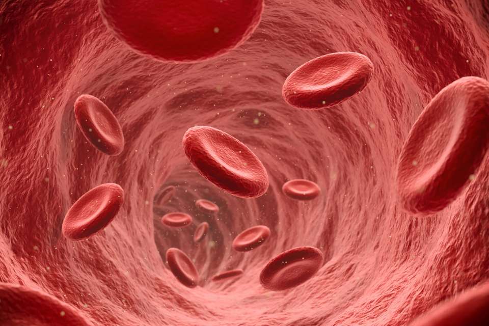New blood test shows promise in detecting ALS early - Neurology | UCLA ...