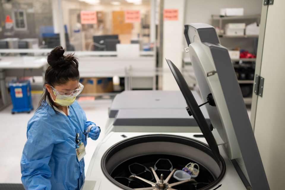 What happens to your blood after you donate? | UCLA Health