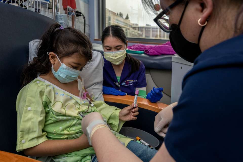 What happens to your blood after you donate? | UCLA Health