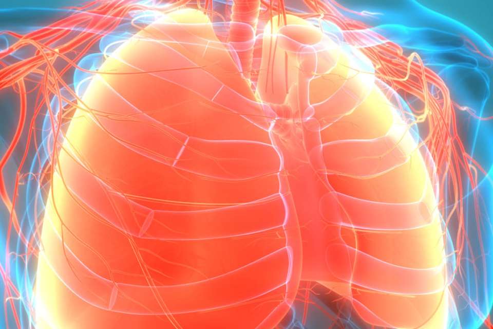 Age is a factor in diminished lung capacity | UCLA Health