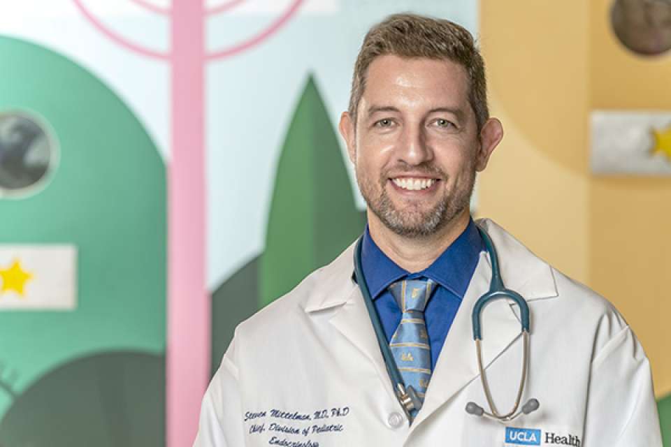 Low-fat diet increases cancer survival rate in mice, study finds | UCLA ...