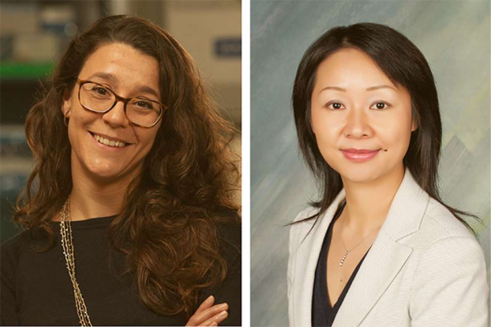 Lili Yang, PhD - Member Directory | UCLA Health Jonsson Comprehensive ...