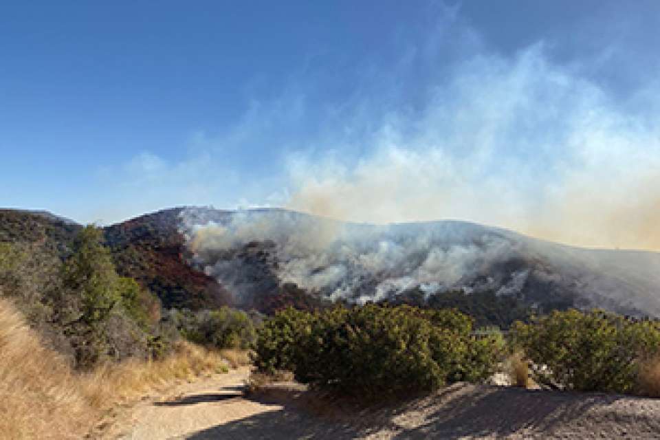 Q&A: Air quality during and after wildfires | UCLA Health
