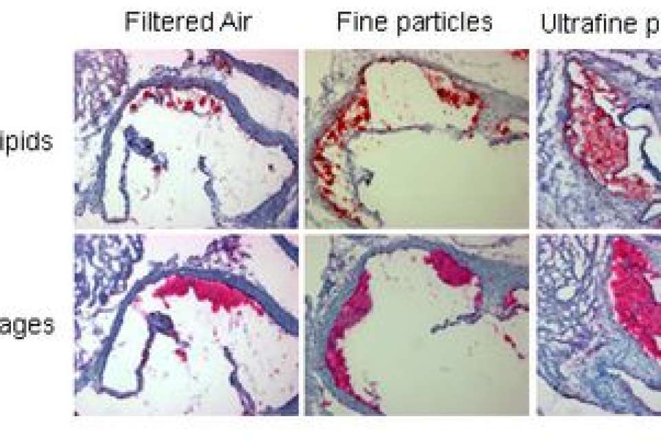 Study shows how ultrafine particles in air pollution may cause heart ...