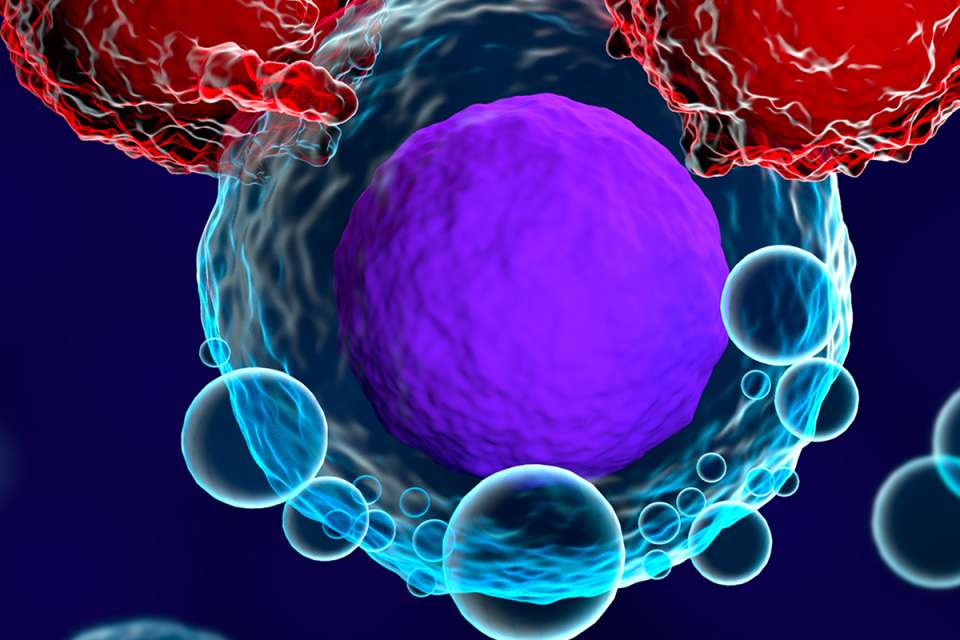 UCLA researchers engineer resistance-proof CAR T cells | UCLA Health