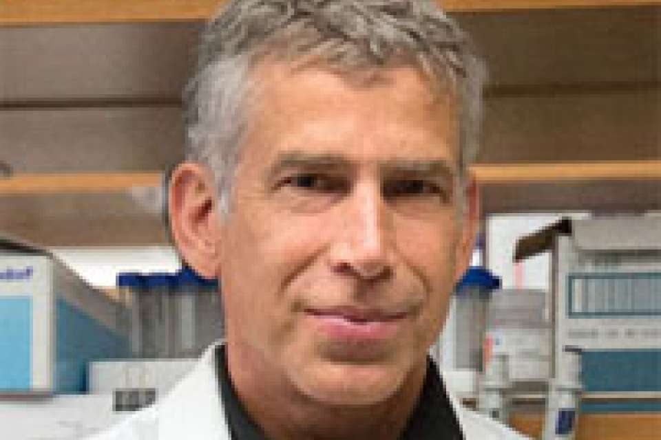 Renowned UCLA scientist to receive prestigious honor for advancing our ...