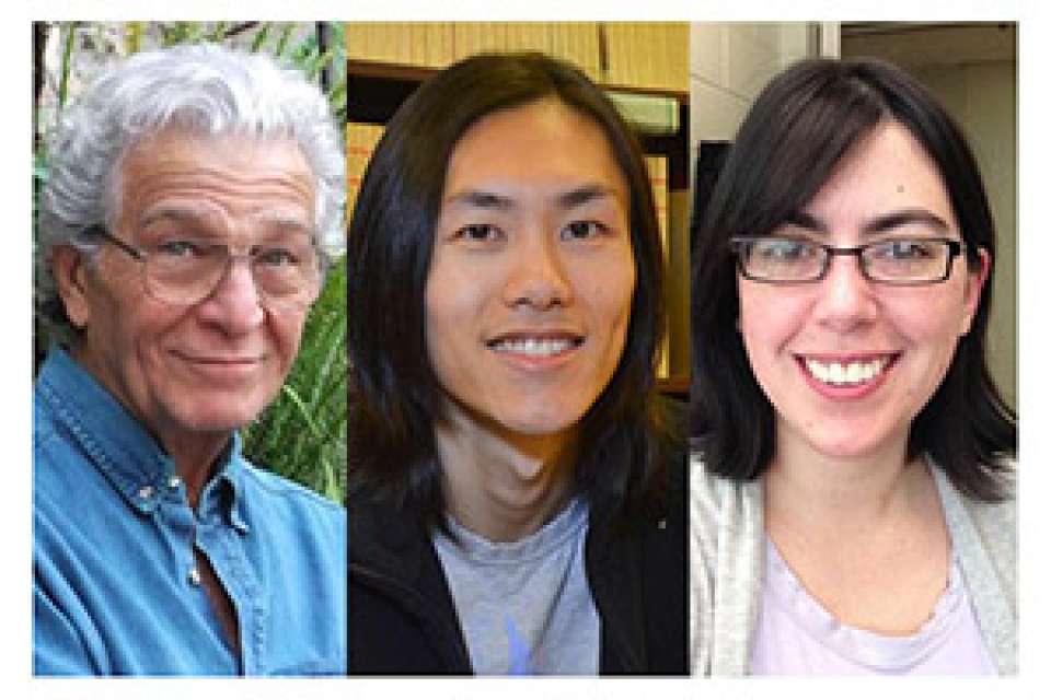 UCLA researchers develop sophisticated open-source program for ...