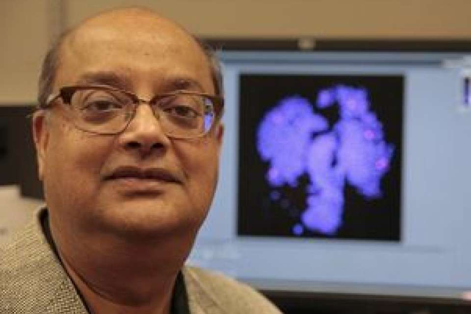 Utpal Banerjee, PhD - Member Directory | UCLA Health Jonsson ...