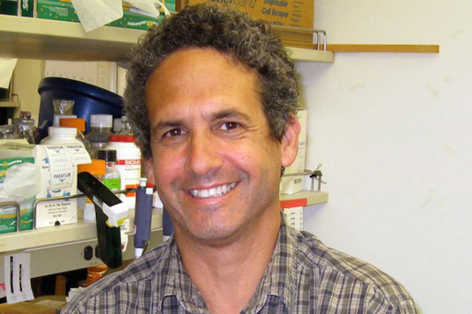 Researchers Discover New Signaling Pathway that Controls Cell ...