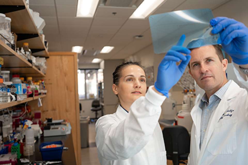 UCLA Division of Pulmonary, Critical Care & Sleep Medicine | UCLA Health