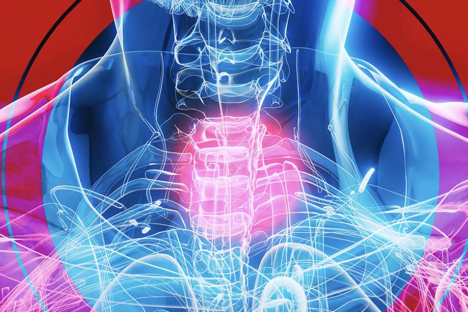 UCLA researchers tackle challenges in Barrett’s esophagus diagnosis and ...