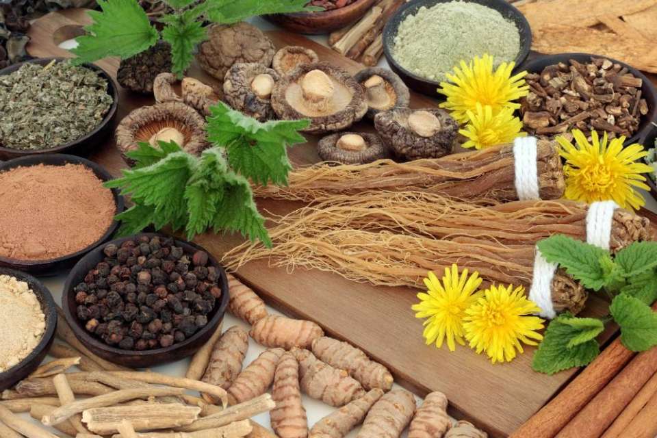 What are adaptogens and should you be taking them? | UCLA Health