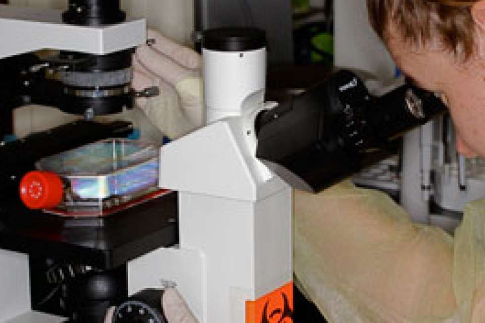 UCLA Division of Infectious Diseases | UCLA Health