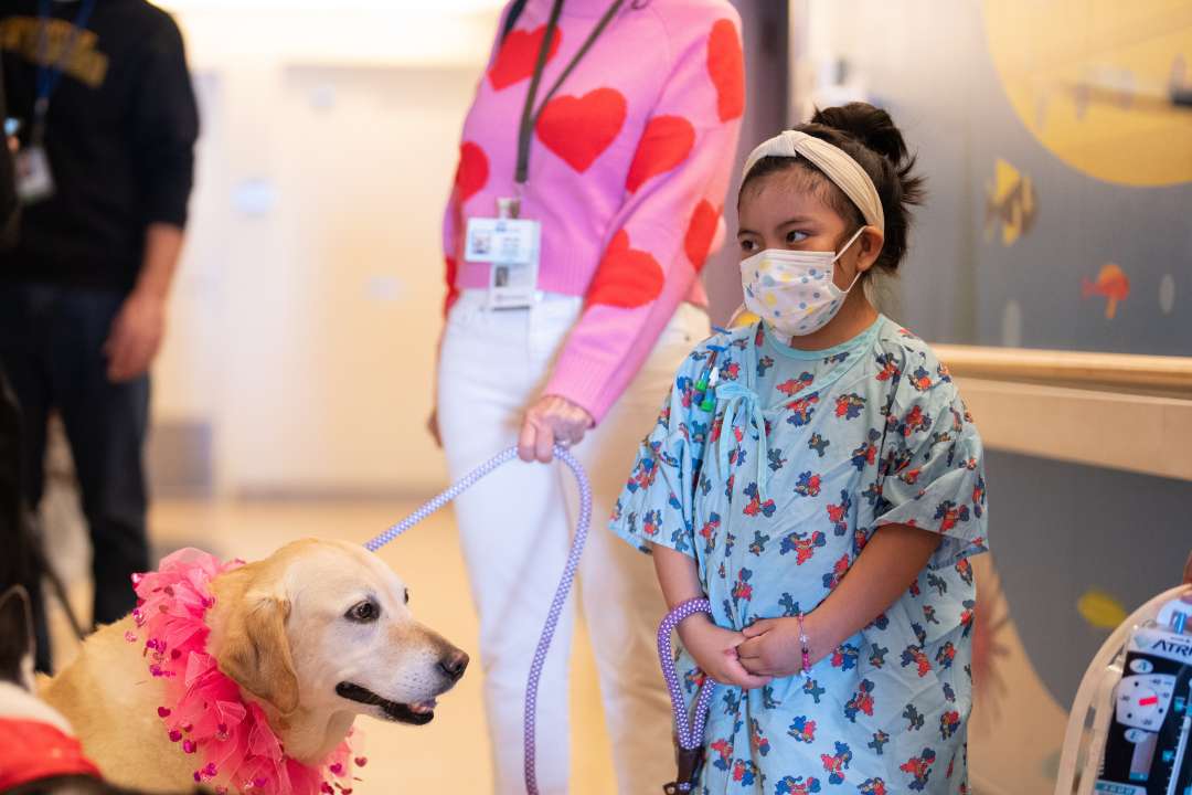 UCLA Mattel Children’s Hospital earns national recognition for broad ...