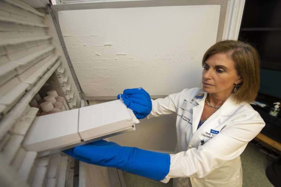 Lab-grown organoids, mimicking fallopian tubes, could help prevent ...