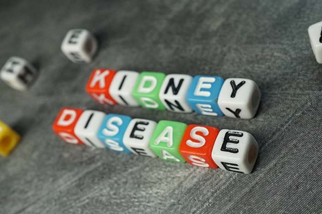 5 Things You Need to Know About Kidney Disease | UCLA Health