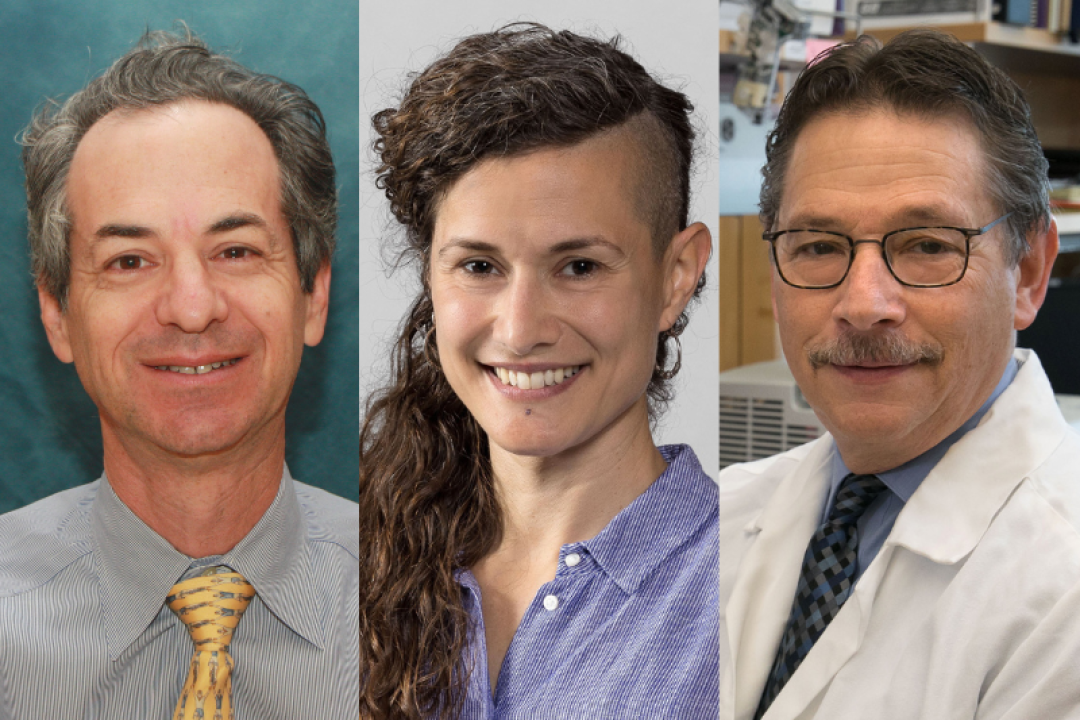 UCLA scientists receive $16.1 million in CIRM grants to advance novel ...