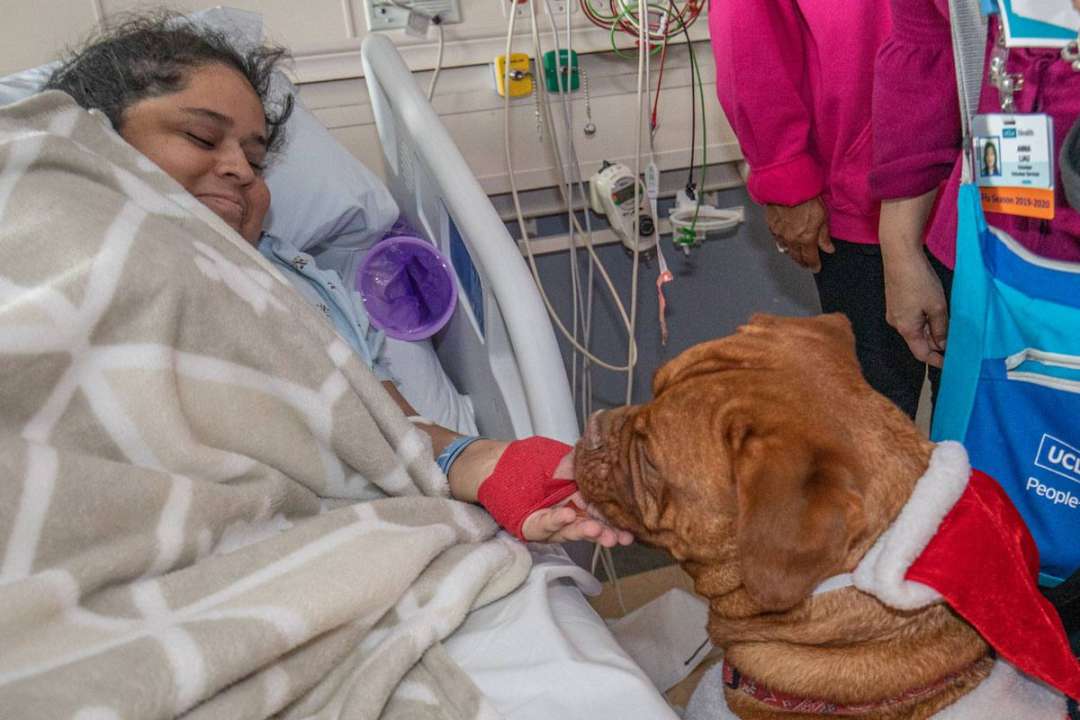 Bringing Smiles to Patients | UCLA Health