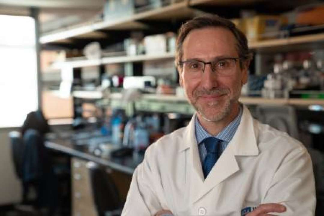 Q&A with UCLA’s Antoni Ribas on what to expect at AACR’s virtual ...