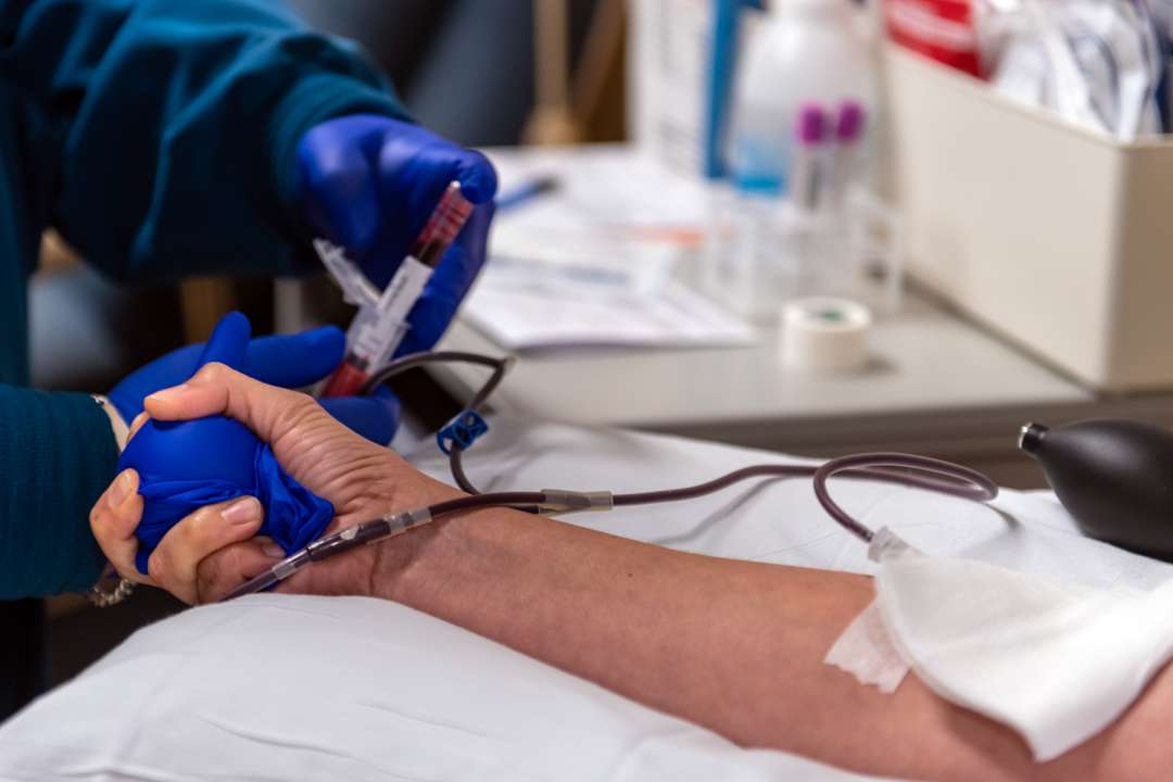 What happens to your blood after you donate? | UCLA Health
