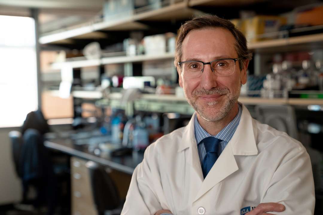 Dr. Antoni Ribas recognized for transforming cancer treatment | UCLA Health