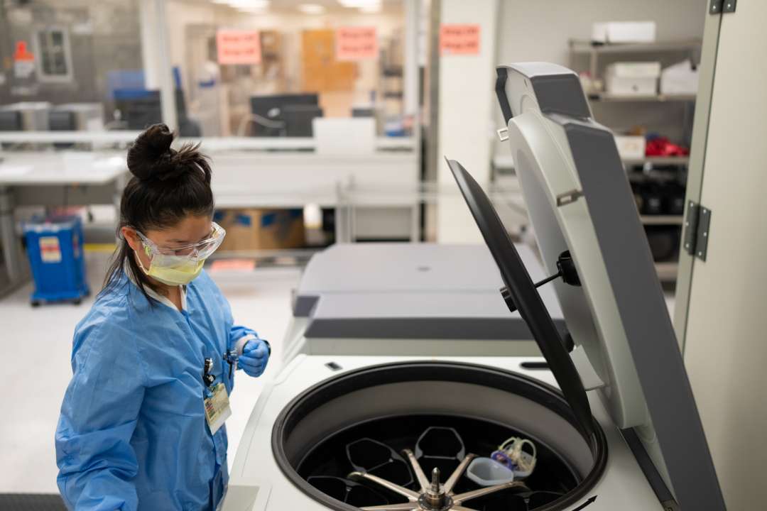 What happens to your blood after you donate? | UCLA Health