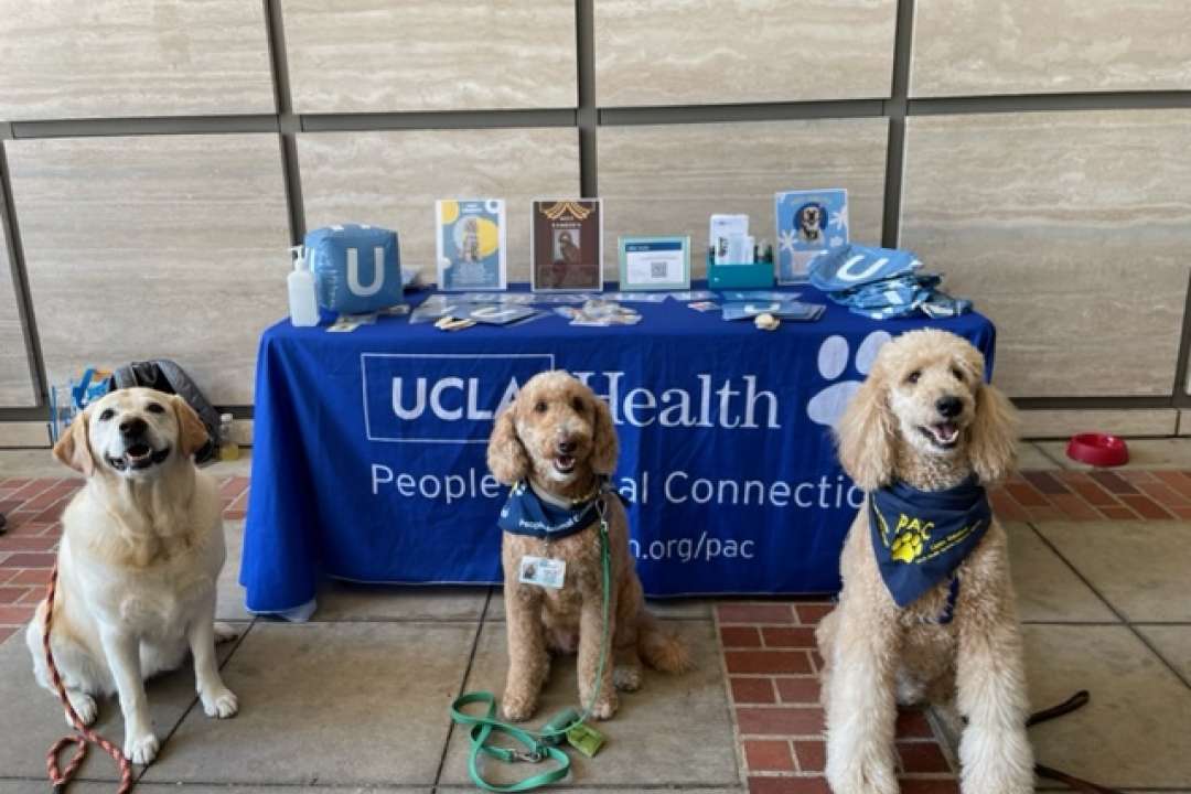 Pet Visit Stations - People-Animal Connection | UCLA Health